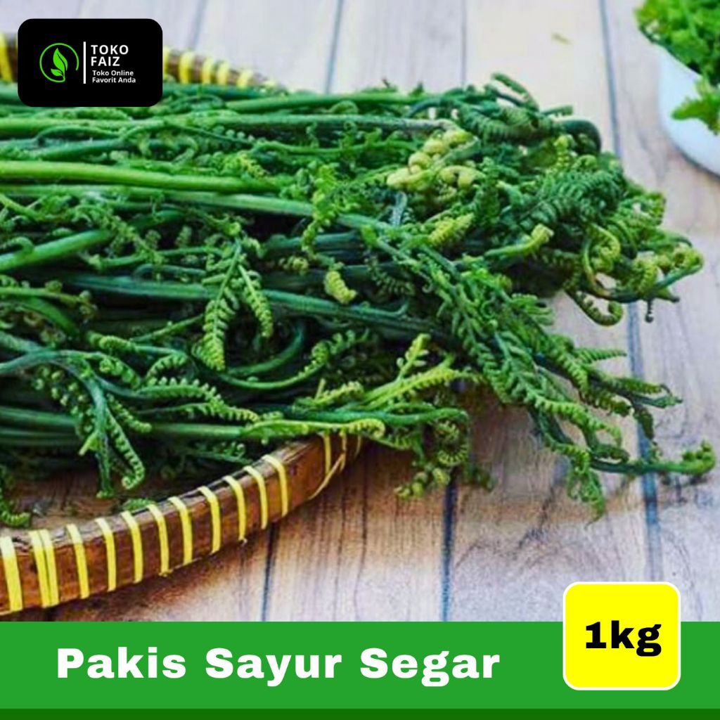 Jual Pakis sayur fres (1kg) | Shopee Indonesia
