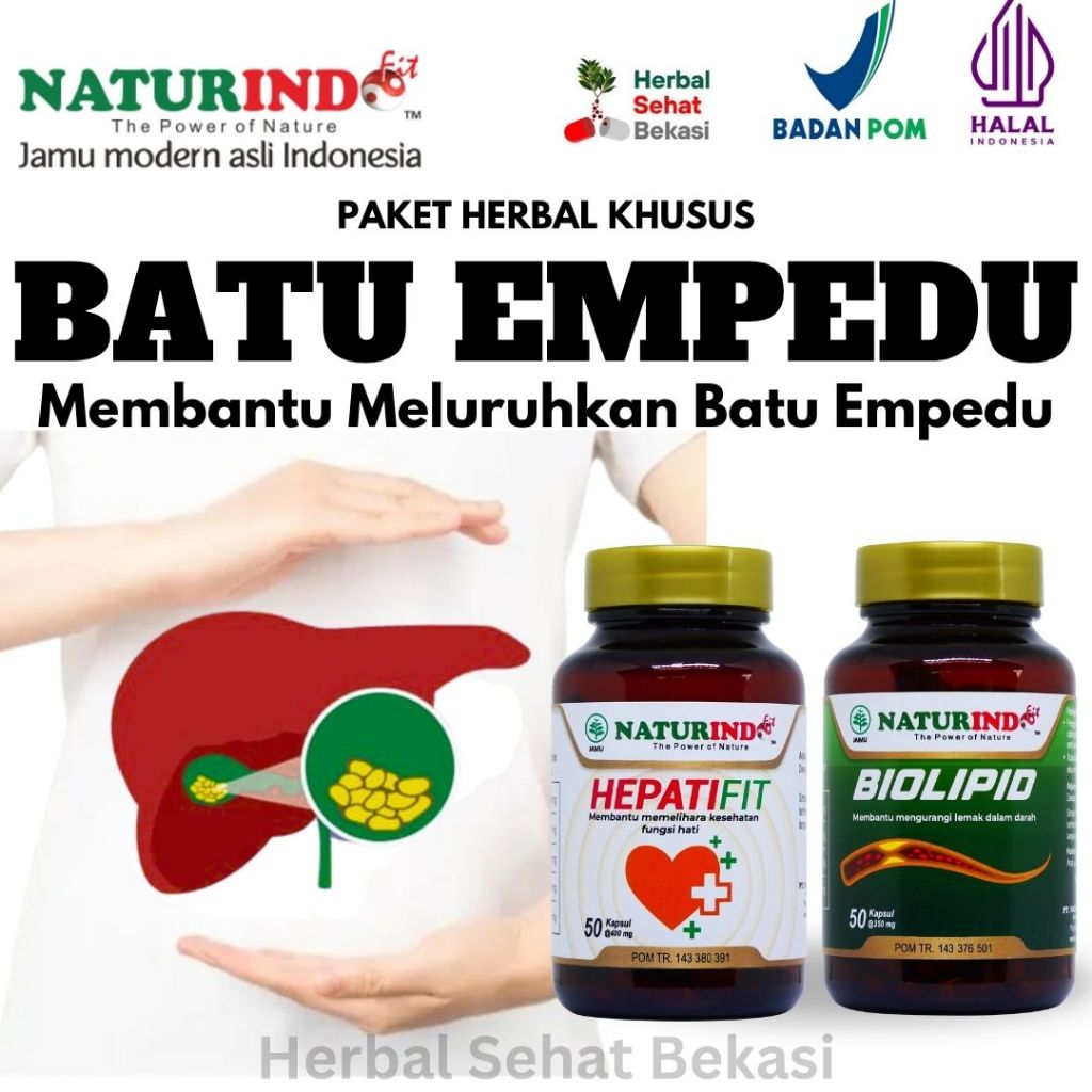 Jual Herbal Batu Empedu Pelarut Batu Empedu Biolipid Naturindo | Shopee ...