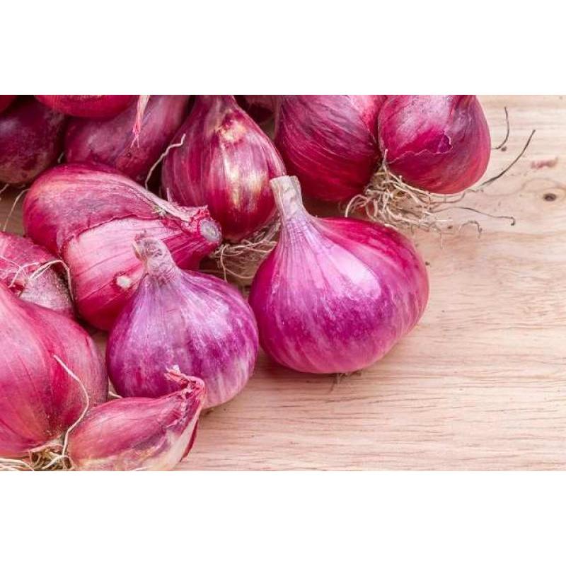 Jual Bawang Merah Bima 1 kg / 1000 gram -- Pengiriman Kilat Surabaya ...