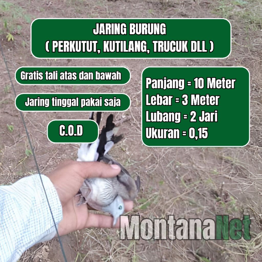 Jual JARING PERKUTUT JARING BURUNG KUTILANG JARING BURUNG SAWAH SIAP ...