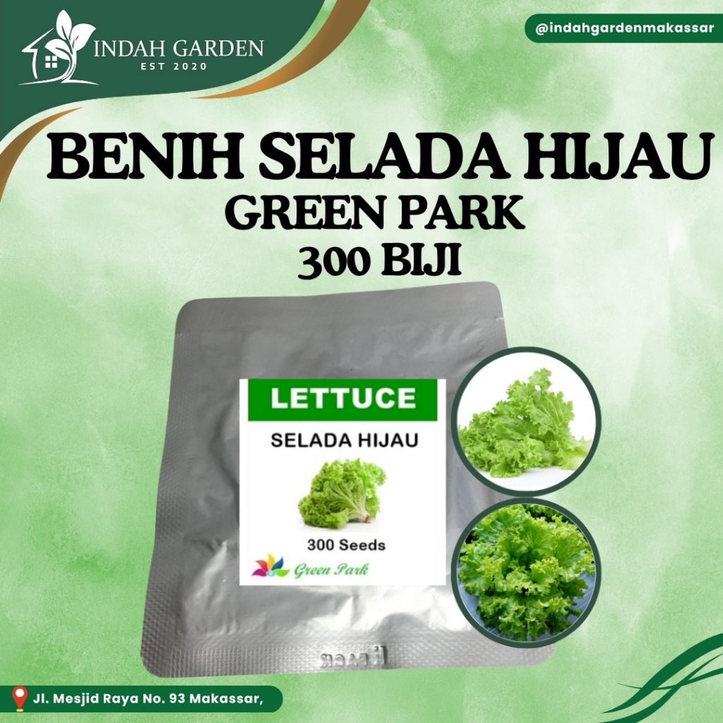 Jual Benih Selada Hijau Mini Pack 300 Biji - GP | Shopee Indonesia