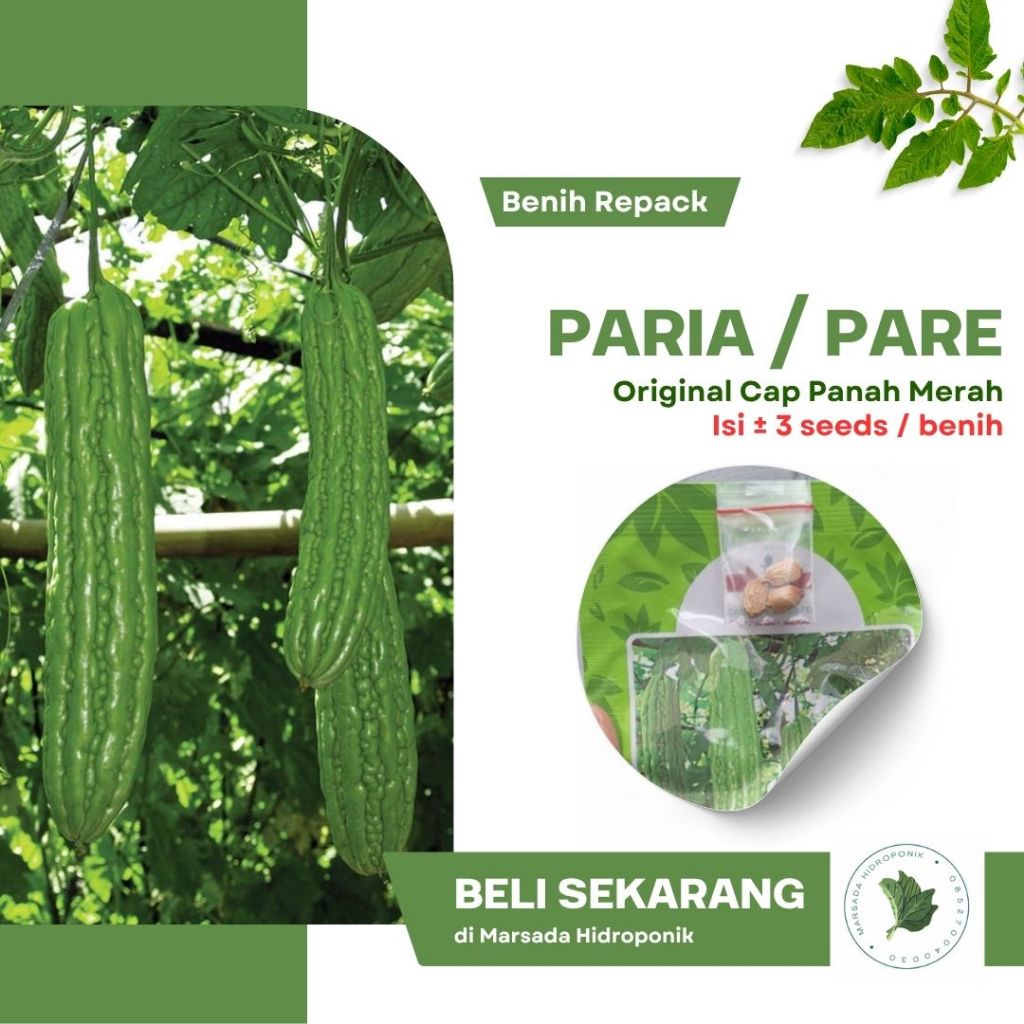 Jual Benih Bibit Unggul Paria Pare LIPA Panah Merah Kemasan Repack isi ...
