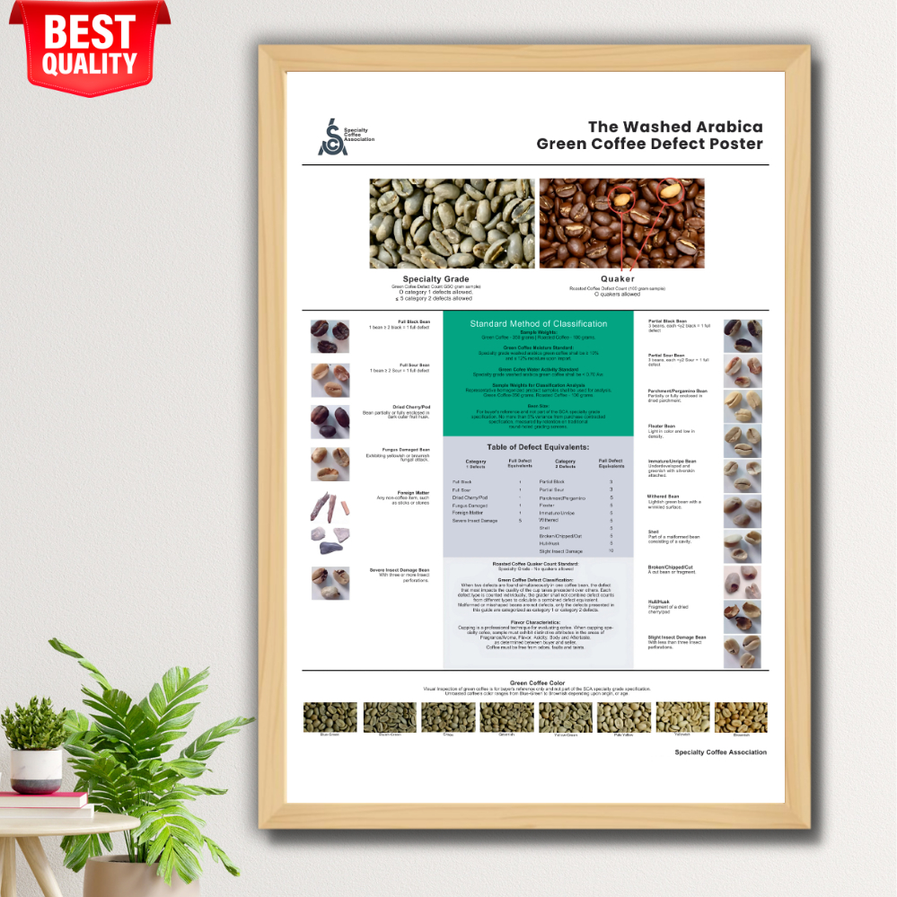 Jual Poster Kopi Green Coffee Defect SCA Frame Kayu A2 – Klasifikasi ...