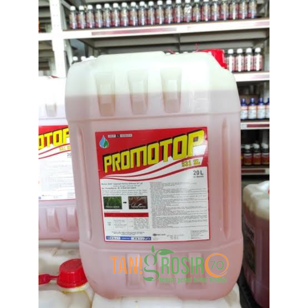 Jual Herbisida PROMOTOP 531 SL 20 Liter + GRANDALLY 25 WP 5 Gram/Racun ...