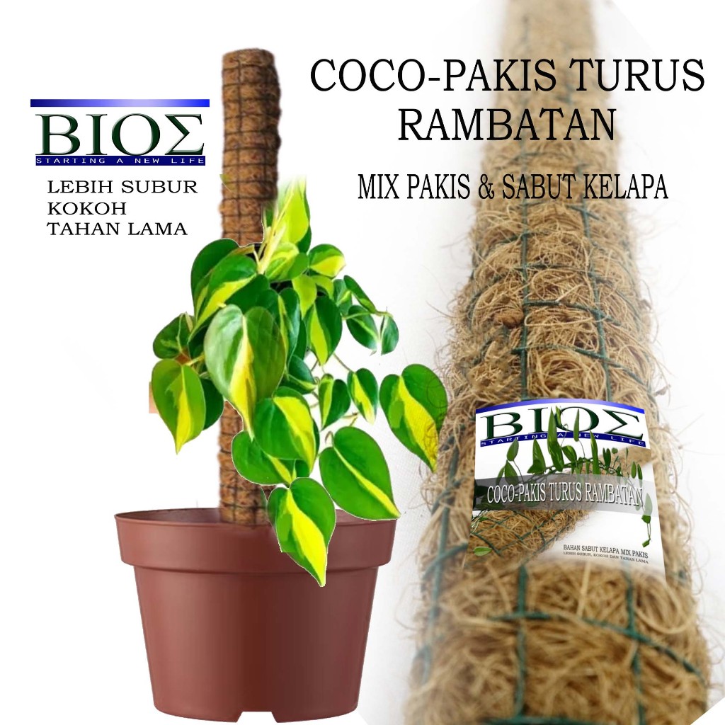 Jual Turus Rambatan COCO-PAKIS Mix Pakis & Sabut Kelapa ukuran 45cm dan ...