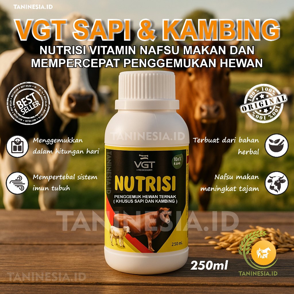 Jual VGT NUTRISI TERNAK KAMBING DAN SAPI PROBIOTIK TERNAK ORGANIK ...