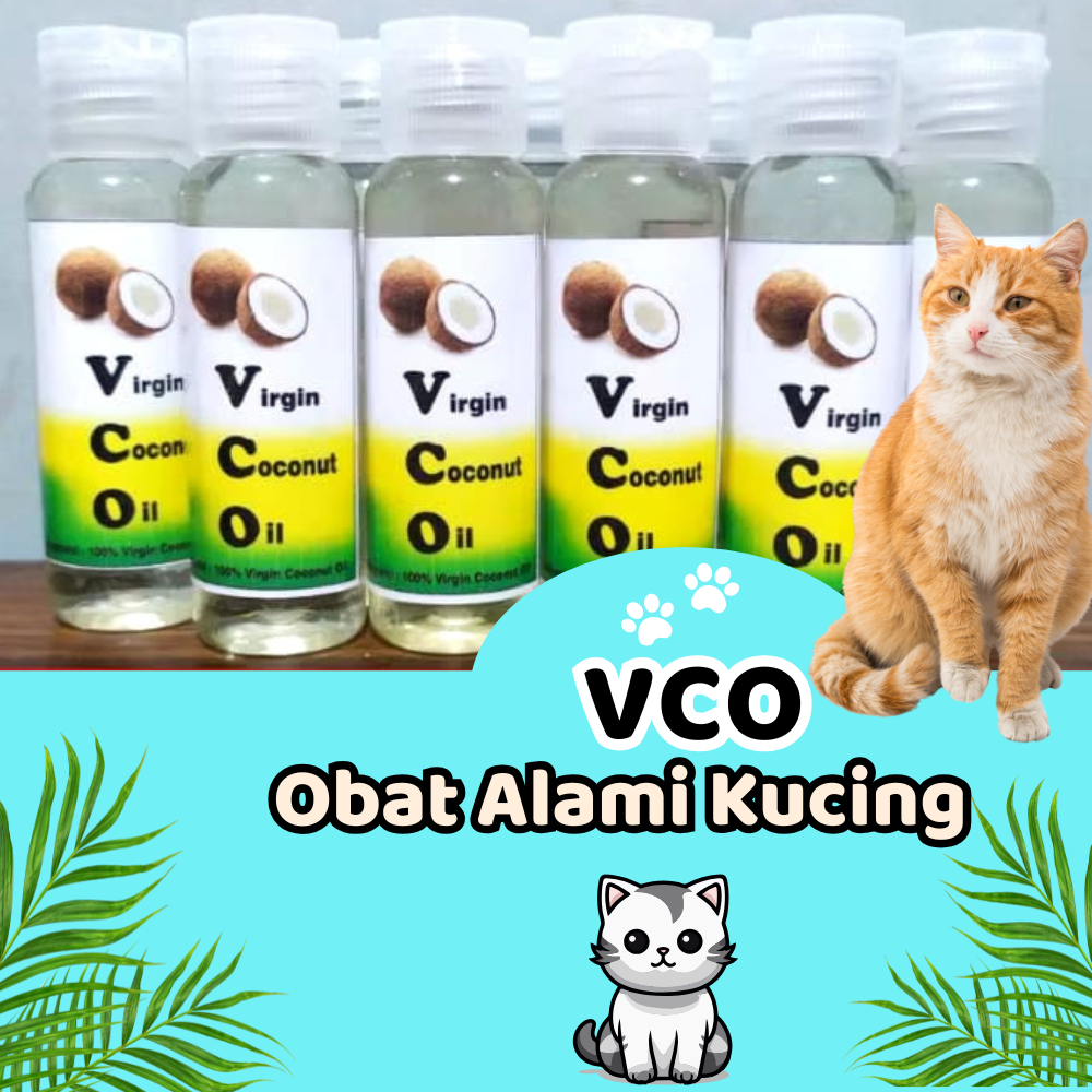Jual VCO virgin coconut oil kemasan 30 ml | Shopee Indonesia
