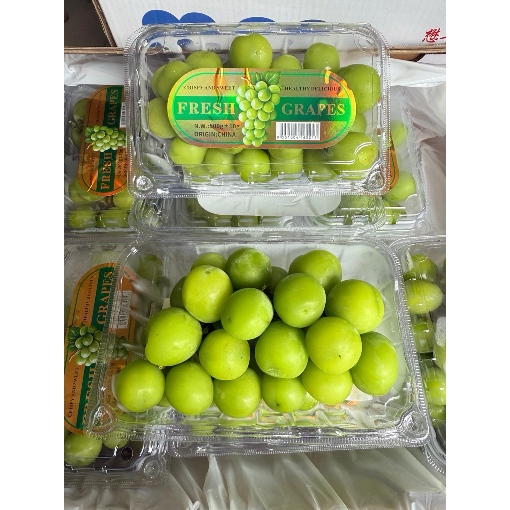 Jual muscat pack ijo 500gr | Shopee Indonesia