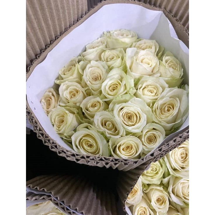 Jual Bunga Potong Mawar Malang Asli Fresh Wangi Isi 20 Tangkai Bunga ...