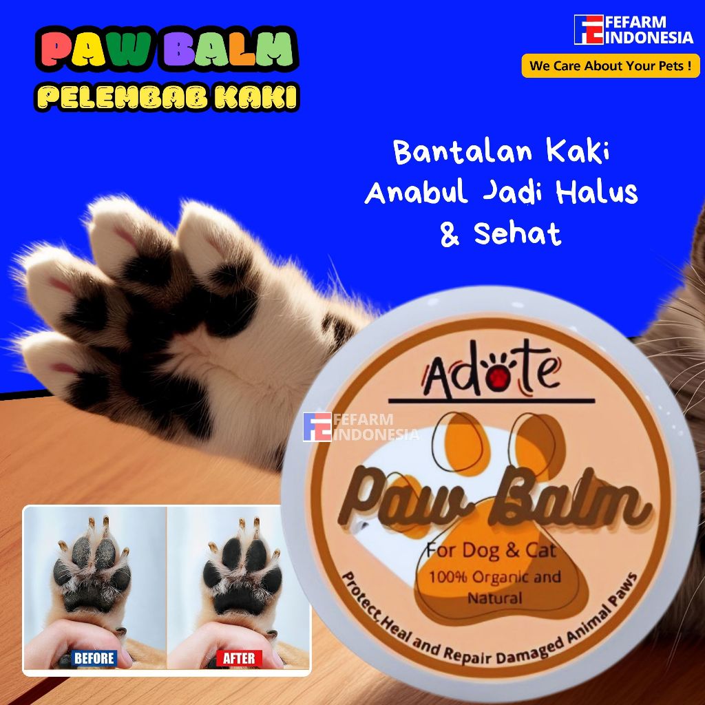 Jual PAW NOSE BALM Pelembab Kucing Anjing untuk Tapak Kaki Paw Elbow ...