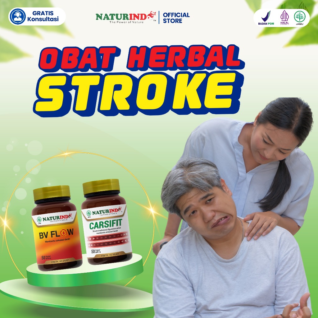 Jual Obat Stroke Ringan Berat Mati Sebelah Gejala Struk Strok Herbal ...