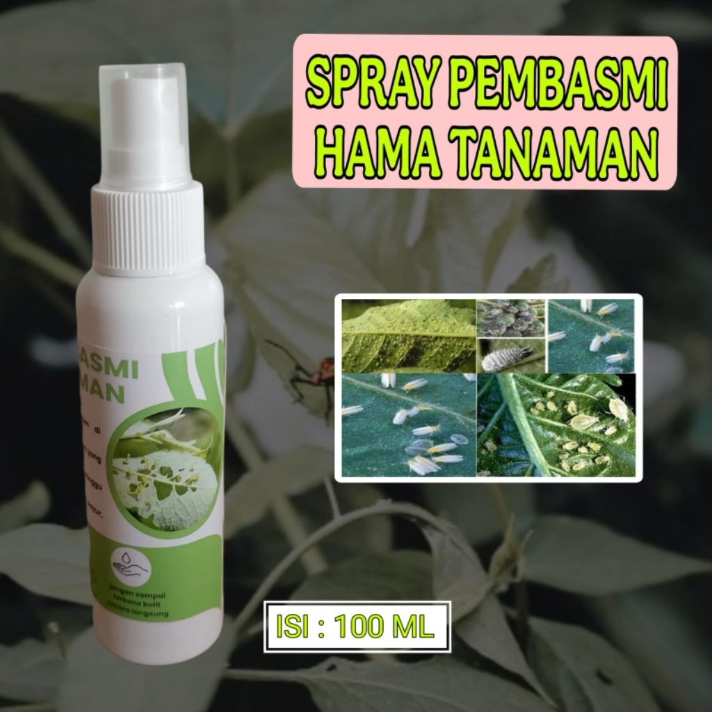 Jual SPRAY PEMBASMI HAMA TANAMAN / GULMA ISI 100 ML ( SIAP PAKAI ...