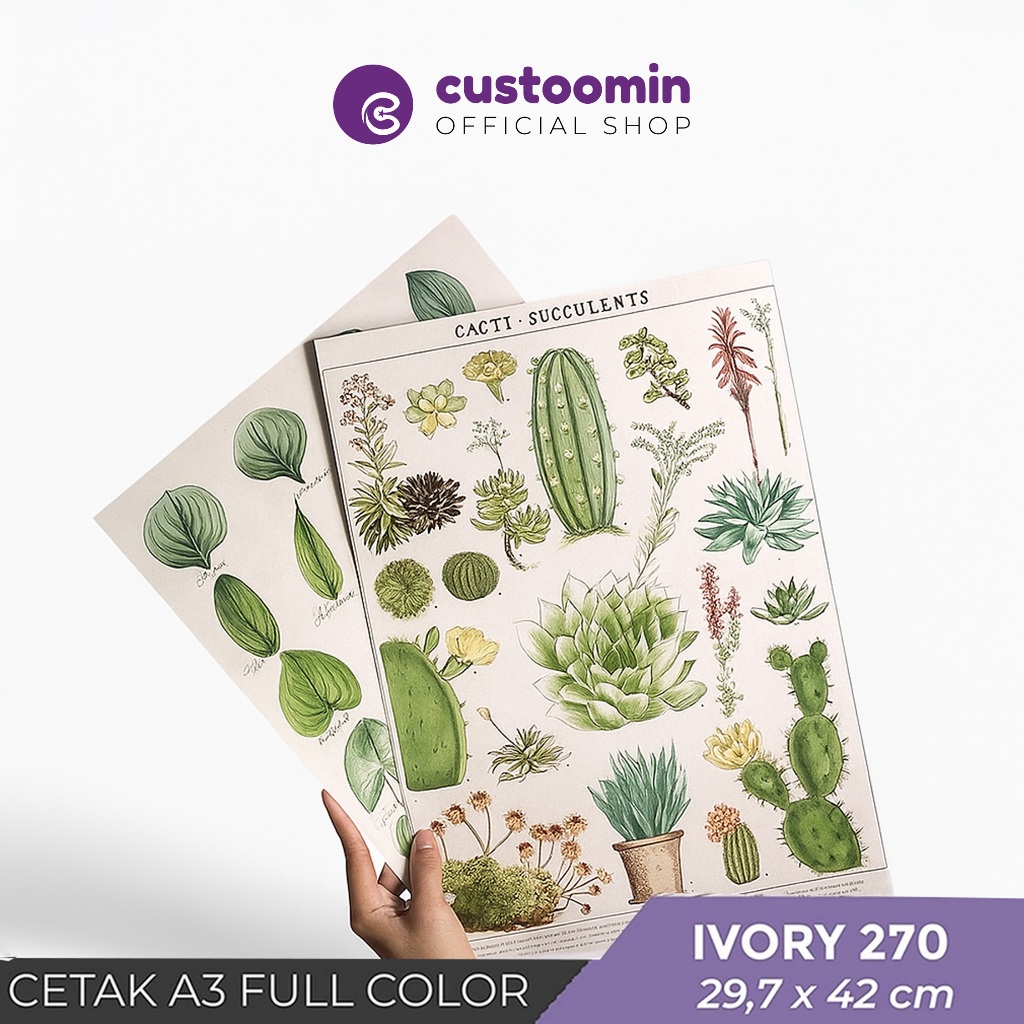 Jual Cetak A3 Full Color (29,7x42 cm) #Ivory 270 gsm - Cetak Full ...