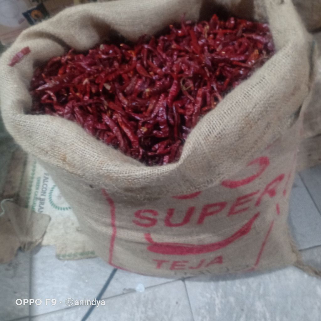 Jual cabe keriting 1 karung Cabe keriting kering karungan cabe rawit ...