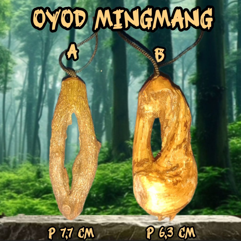 Jual LIONTIN KAYU AKAR MINGMANG_OYOD MINGMANG_AKAR PETUK | Shopee Indonesia