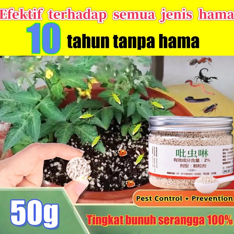 Jual Imidakloprid Insektisida Pestisida Untuk Semua Hama Racun Hama ...