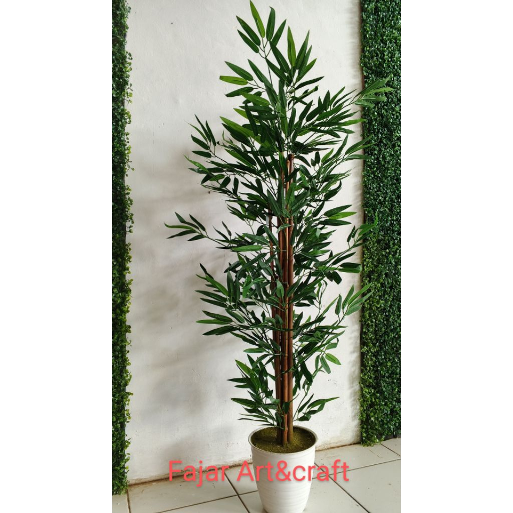 Jual Pohon bambu dengan pot minimalis | Shopee Indonesia