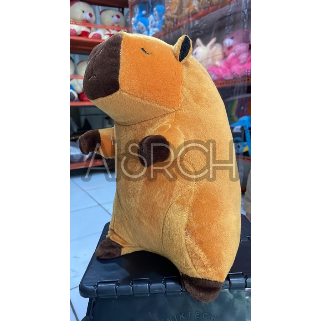 Jual Fluffy Capybarra Plush Doll Kawaii Capybara Stuffed Animals ...