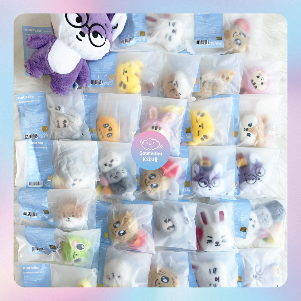 Jual Seventeen Miniteen House Party [OFFICIAL MERCH] Face Keyring ...