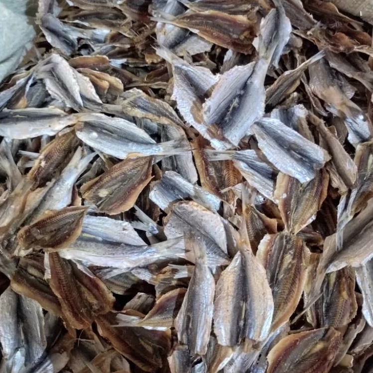 Jual TANJAN TIPIS/FILET TANJAN TAWAR KERING 1 ONS (100 GRAM) | Shopee ...