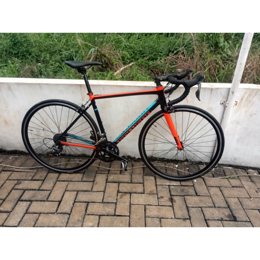 Jual Sepedah roadbike Polygon S2 kondisi Bekas pakai | Shopee Indonesia