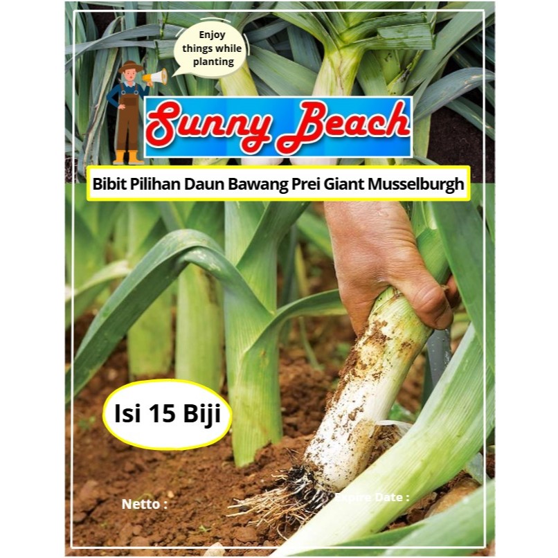 Jual Bibit Pilihan Daun Bawang Prei Giant Musselburgh | Biji Benih Daun ...