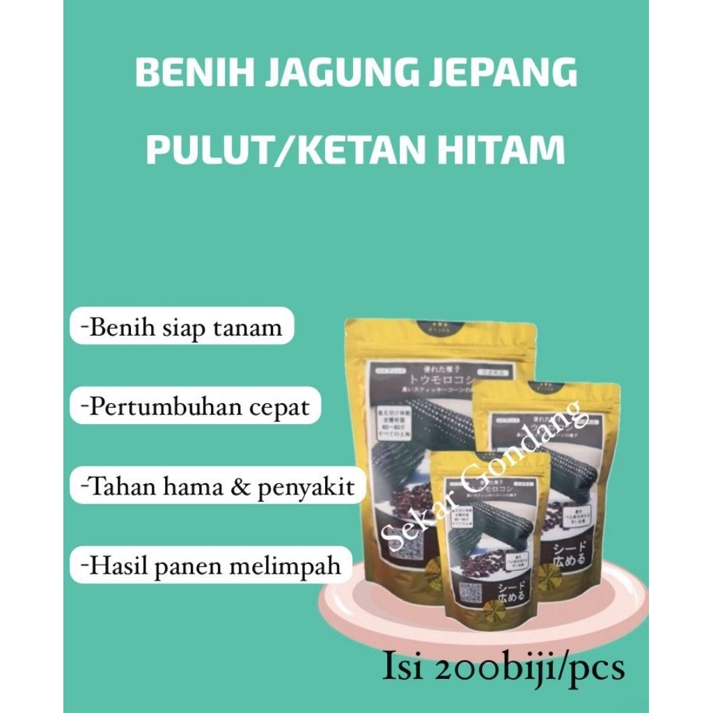 Jual Benih Jagung Jepang Pulut/Ketan Hitam 200biji | Shopee Indonesia