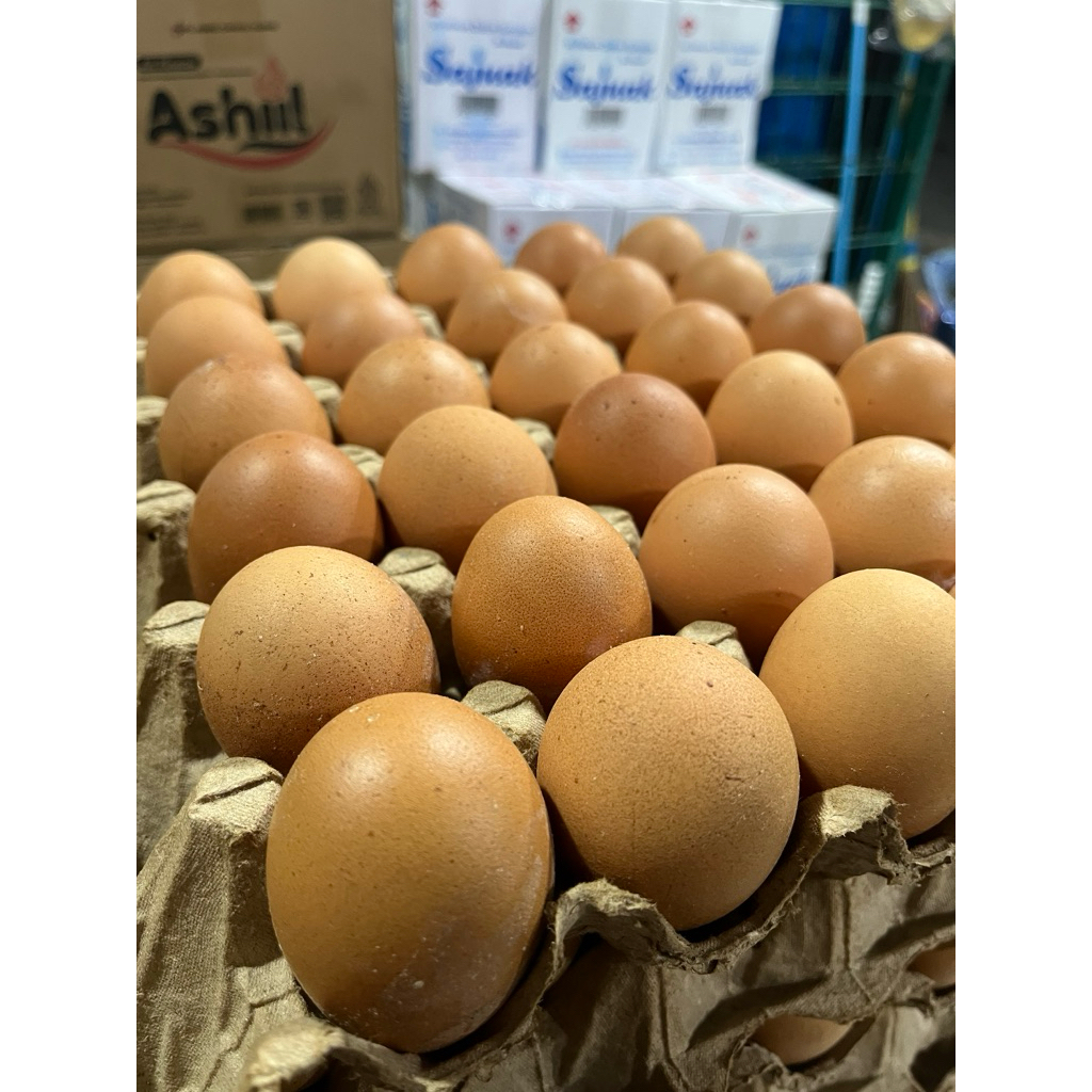 Jual TELUR AYAM PER 5 BUTIR ATAU PER PAPAN | Shopee Indonesia