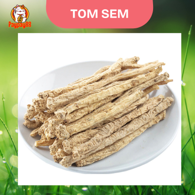 Jual TONG SIM / CODONOPSIS ROOT / YONG SEM / DANG SHEN / TONG SEM 10 ...