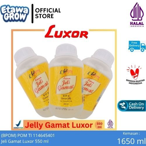 Jual Jely Gamat Luxor 550 ML / Asli Original / Jeli Gamat Kemasan 3 ...
