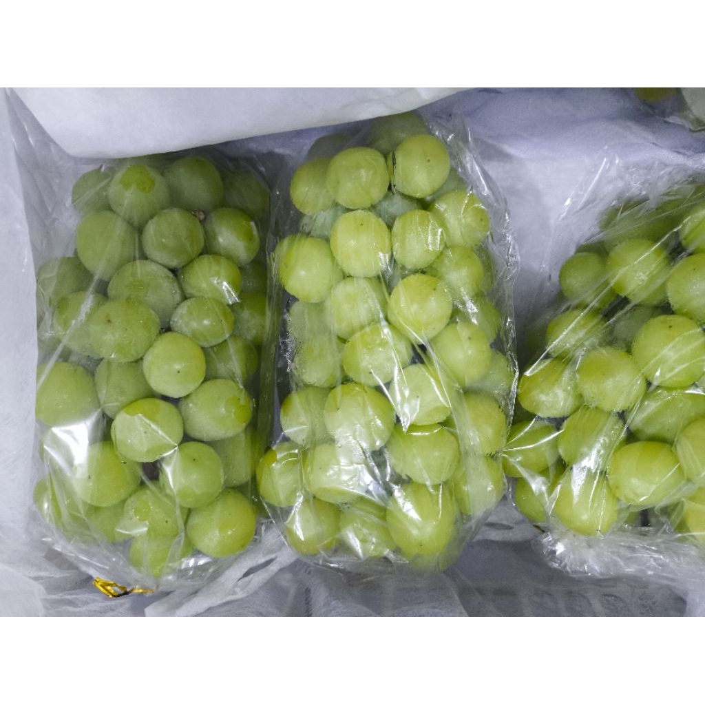 Jual Anggur Hijau Premium Muscat - Anggur Manis dan Fresh | Shopee ...