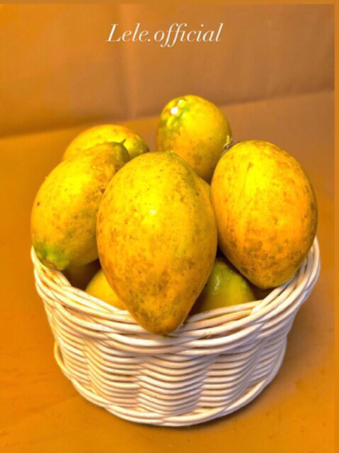 Jual Delicious - Buah Alkesah Buah Sawo Mentega Alkesa Manis Fresh ...