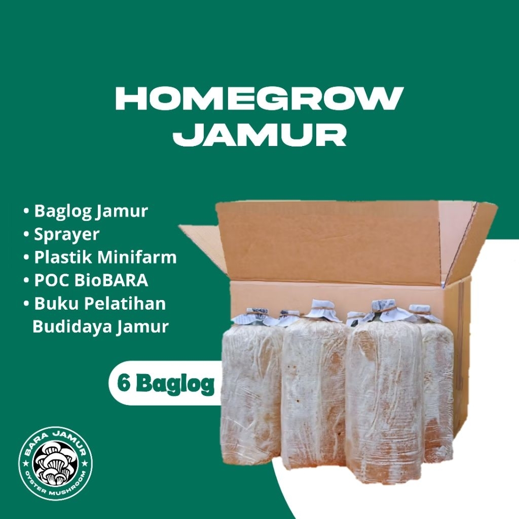 Jual Paket Budidaya Jamur (Homegrow Jamur) 6 Baglog | Shopee Indonesia