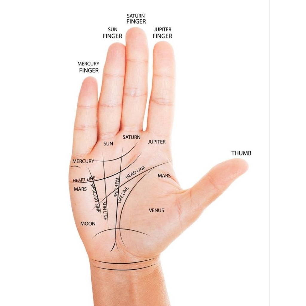 Jual PROMO!! ANALISIS PALM READING Baca garis tangan palmistry | Shopee ...