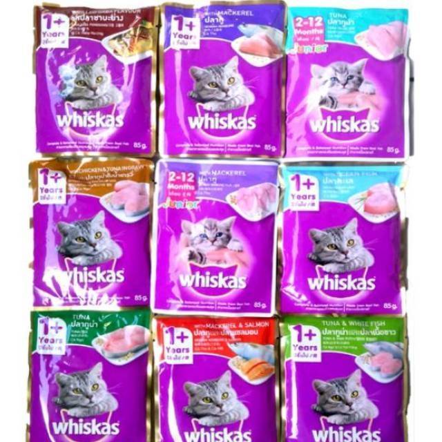 Jual Whiskas Sachet Pouch Promo Adult & Kitten 80gr All Varian ...