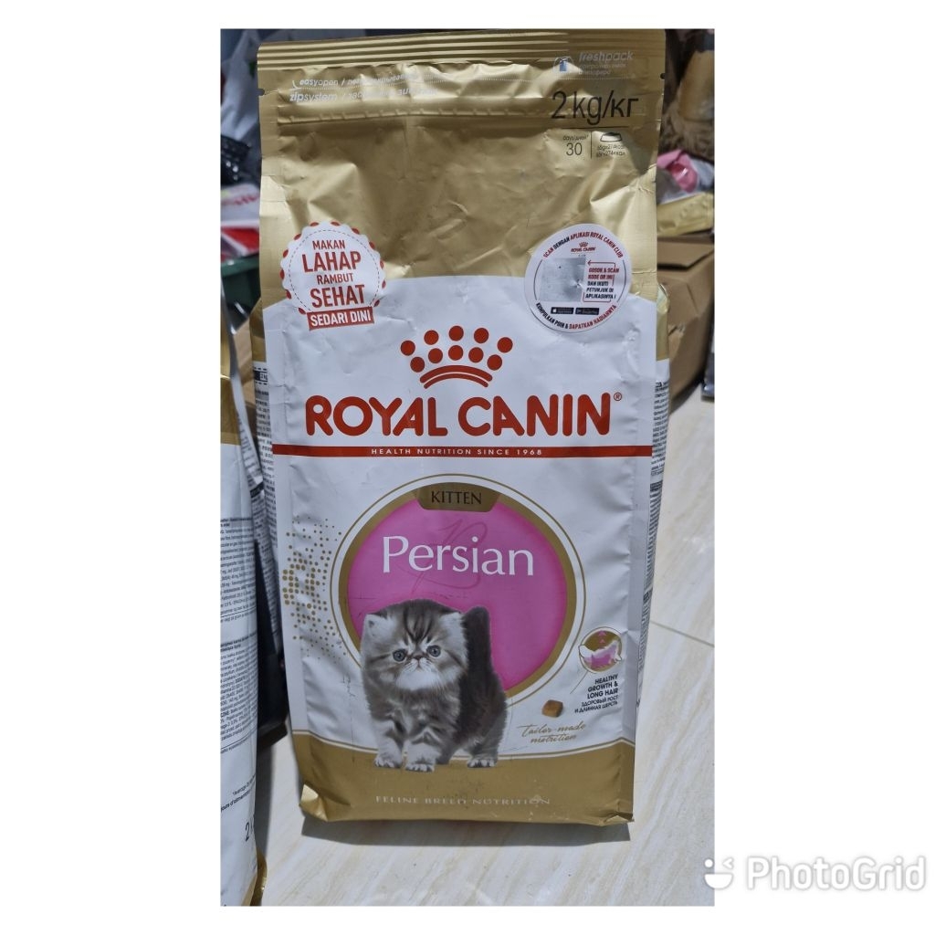 Jual RC ROYAL CANIN KITTEN PERSIAN 2KG EXP 01/2026 FRESH PACK | Shopee ...