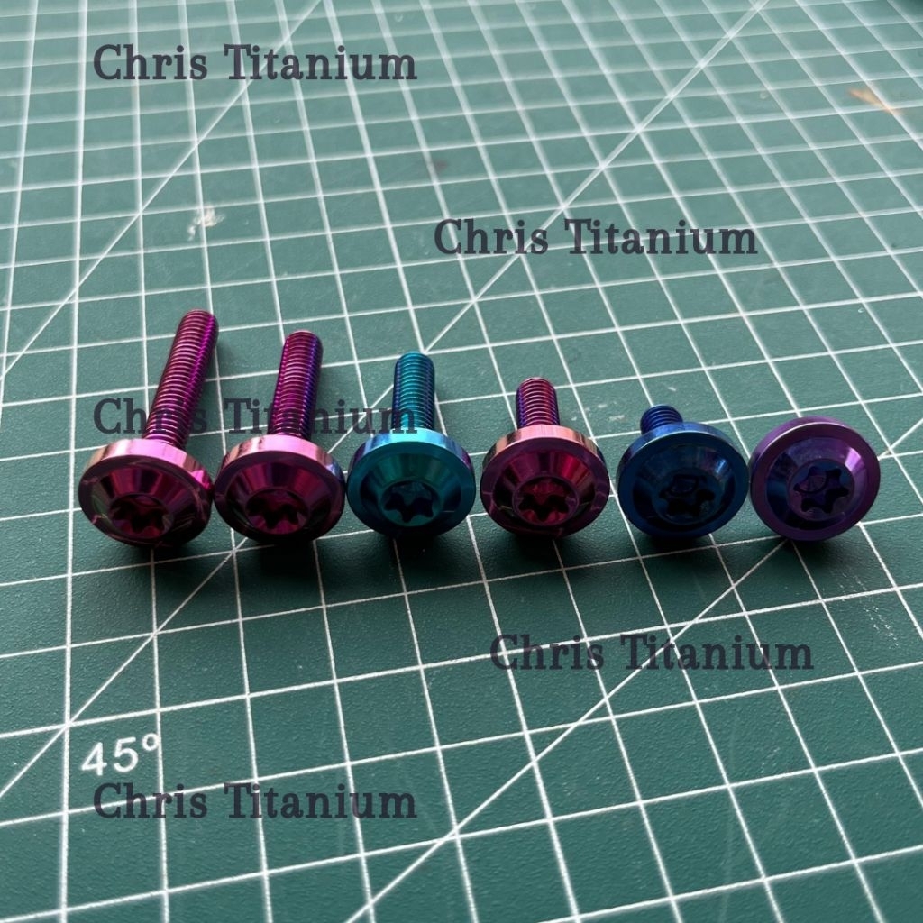 Jual Baut Titanium Gr5 Vietnam Umbrealla BigHead Drat 10 (M6) Dari ...