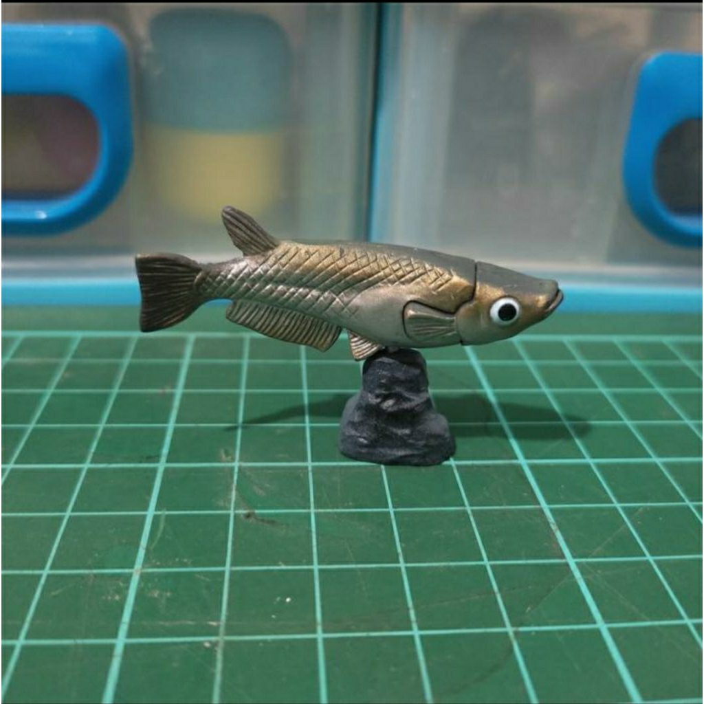 Jual kaiyodo furuta choco egg ricefish fish figure (silver) | Shopee Indonesia