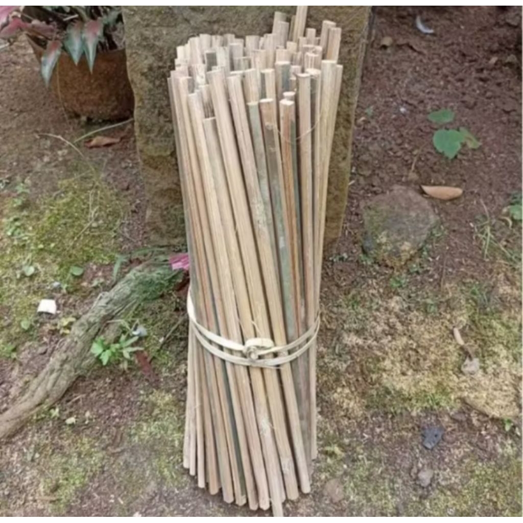 Jual Bilah Bambu 80cm Ajir Tanaman/Pagar Bilah Bambu Untuk Tanaman Siap ...