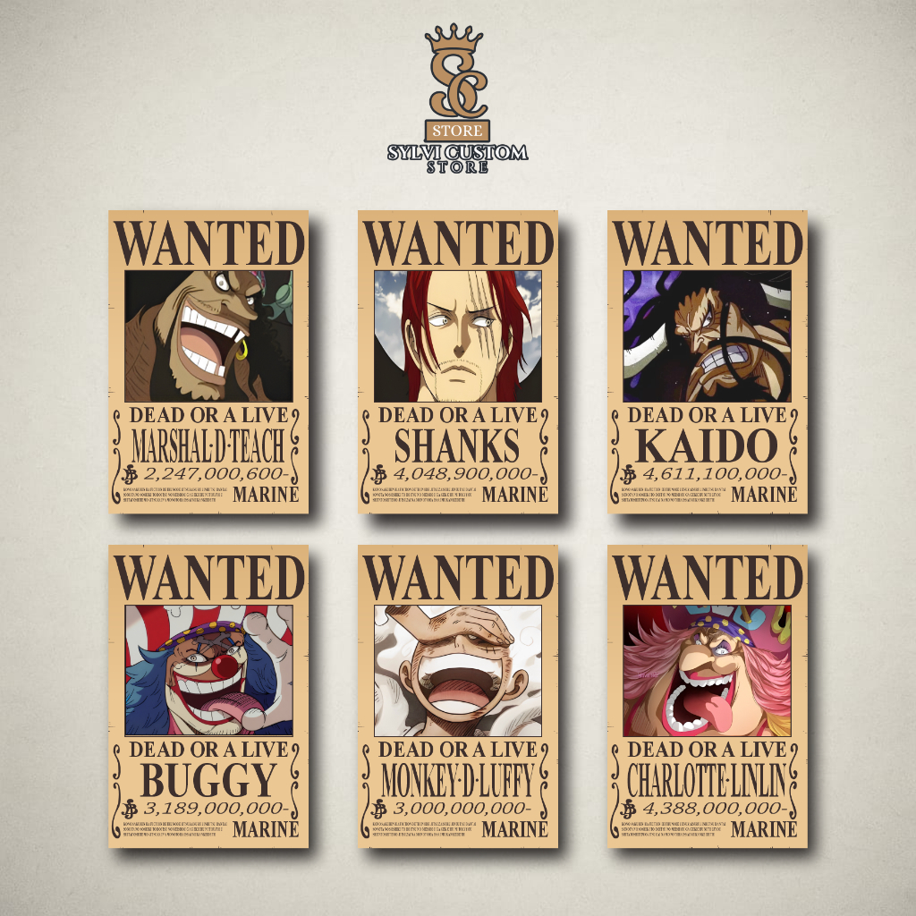 Jual (COD) POSTER VINYL BOUNTY ONE PIECE WANTED BURONAN HIASAN DINDING ...