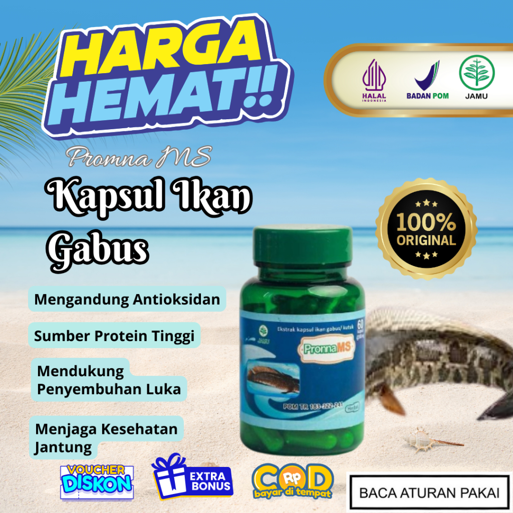 Jual Kapsul IKAN GABUS Pronna MS Atasi Bekas Luka 60 Kapsul | Shopee ...