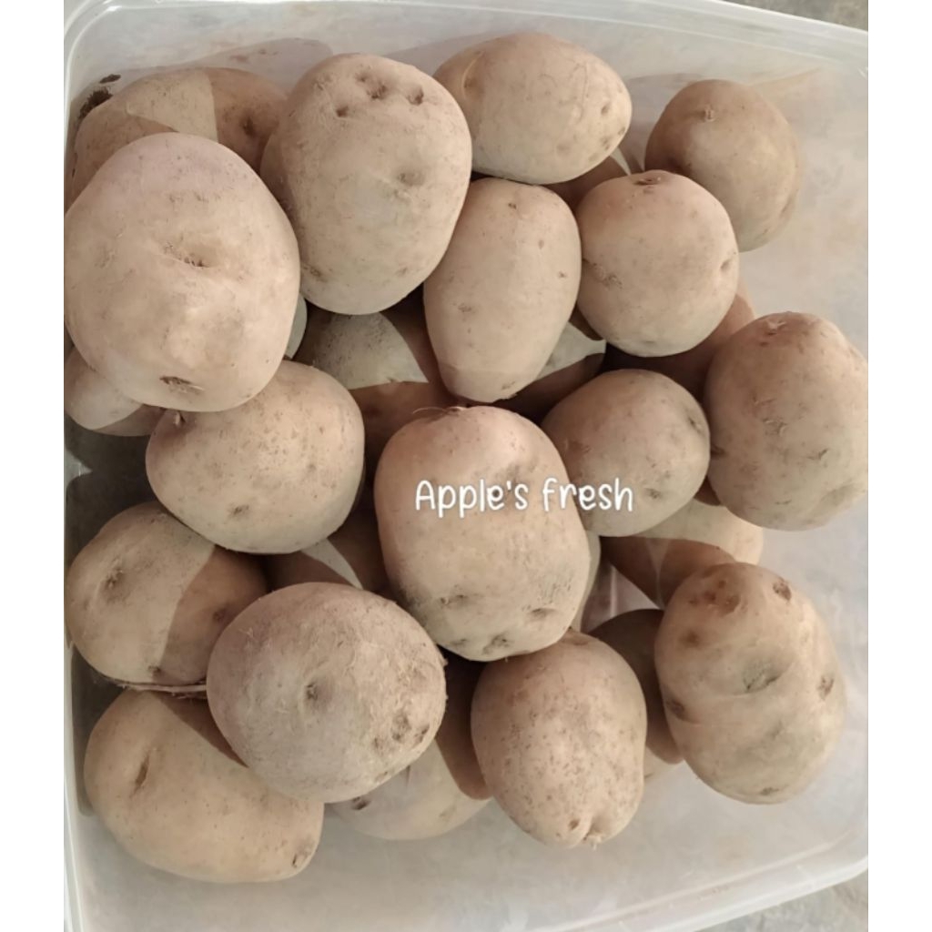 Jual Kentang kuning untuk diet 10-15 buah dalam 1kg | Shopee Indonesia