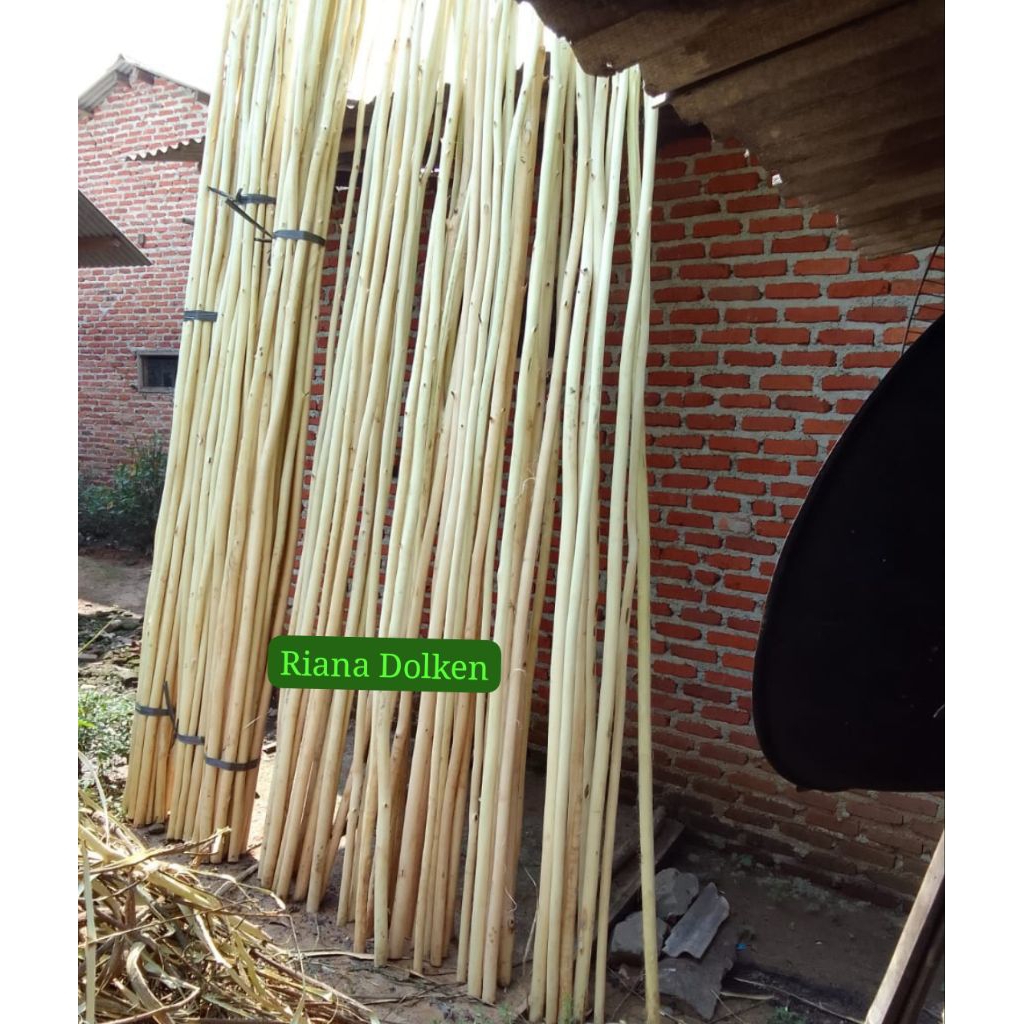 Jual Kayu Dolken Terlengkap & Harga Terbaru Juni 2026 | Shopee Indonesia