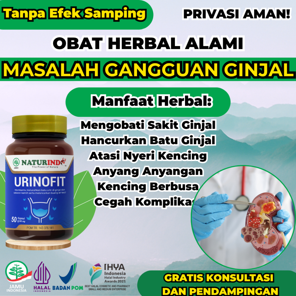 Jual Naturindo Urinofit Obat Detox Ginjal Herbal Infeksi Saluran Kemih ...