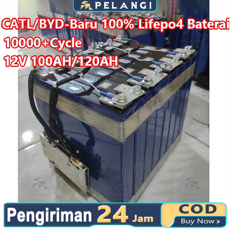 Jual CATL/BYD Battery Lifepo4 24v /12v 120ah/100AH Battery Lifepo4 12v/24v 120ah 100ah plus BMS ...