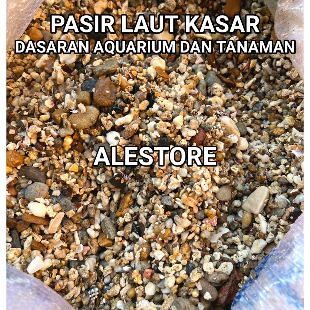 Jual Pasir Laut Kasar Dasaran Aquascape Aquarium dan dasaran pot ...