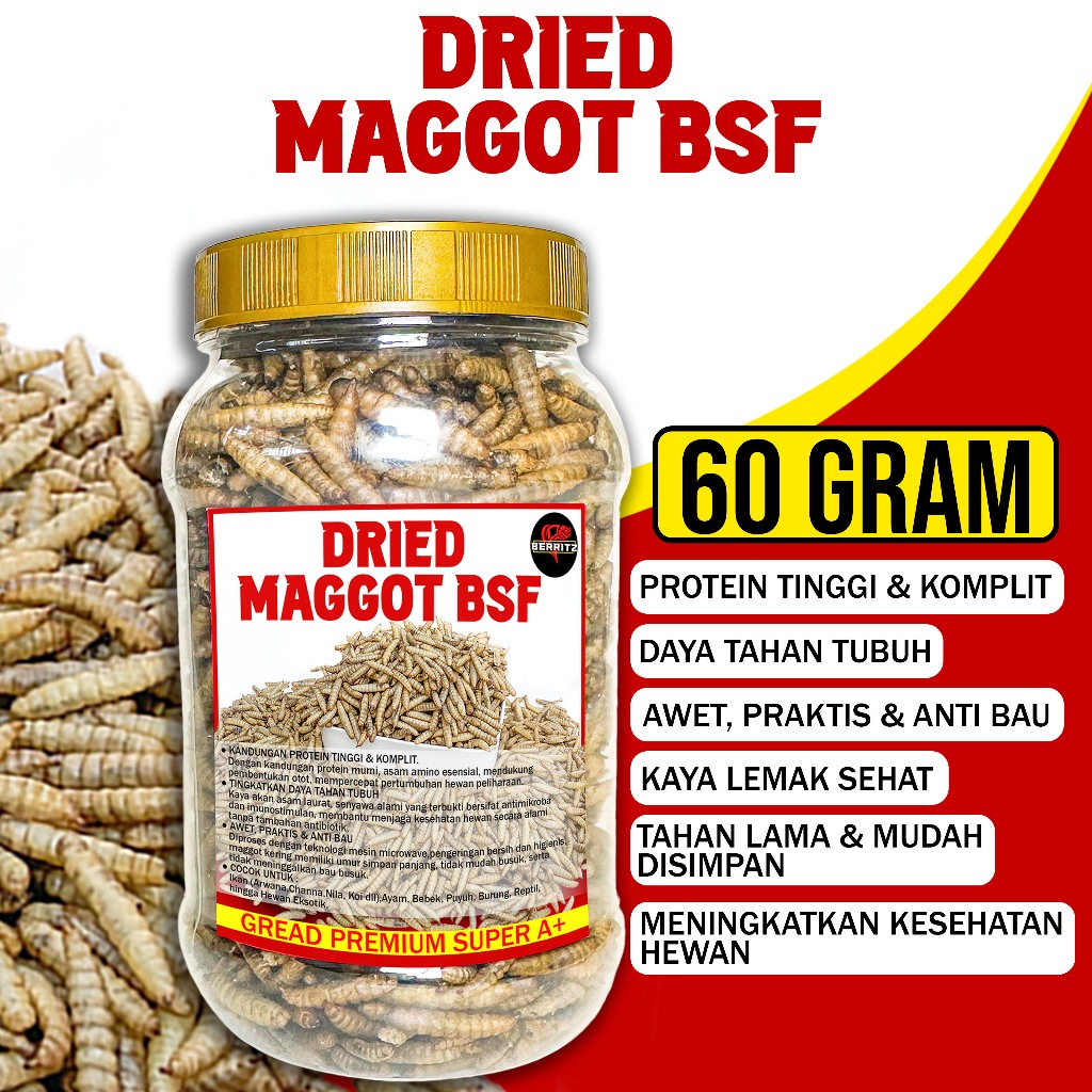 Jual BERRITZ Dried Maggot BSF 60 Gram Maggot Kering Makanan Hewan ...