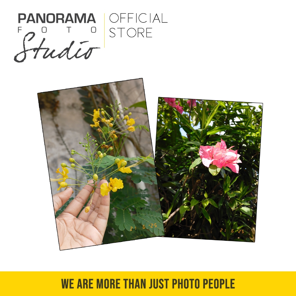 Jual Cetak foto kertas doff ukuran standar foto album 2r 3r 4r 5r ...