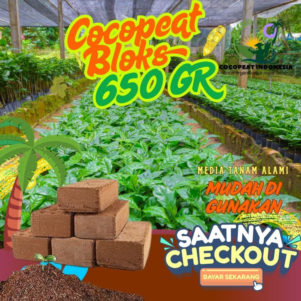 Jual COCOPEAT INDONESIA - COCOPEAT BLOK 650 GR LOW EC - MEDIA TANAM ...