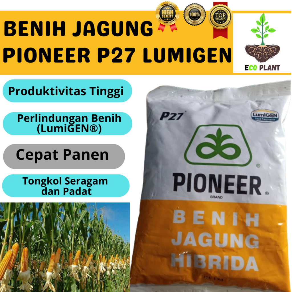 Jual BENIH JAGUNG PIONEER P27 lumiGEN, Benih Jagung Hibrida Anti Gulma ...